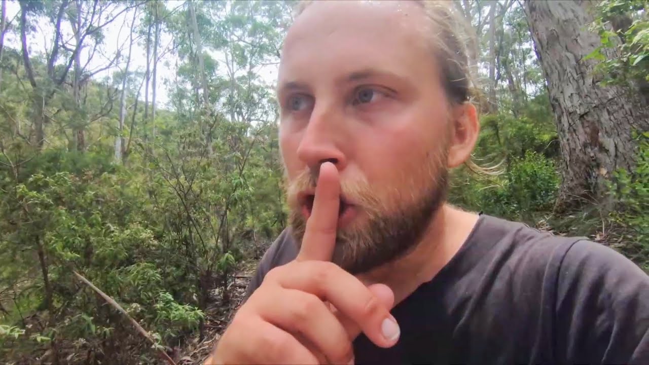 Koala Hunting On Great Ocean Road - Part 1 | Australia - E14 - YouTube