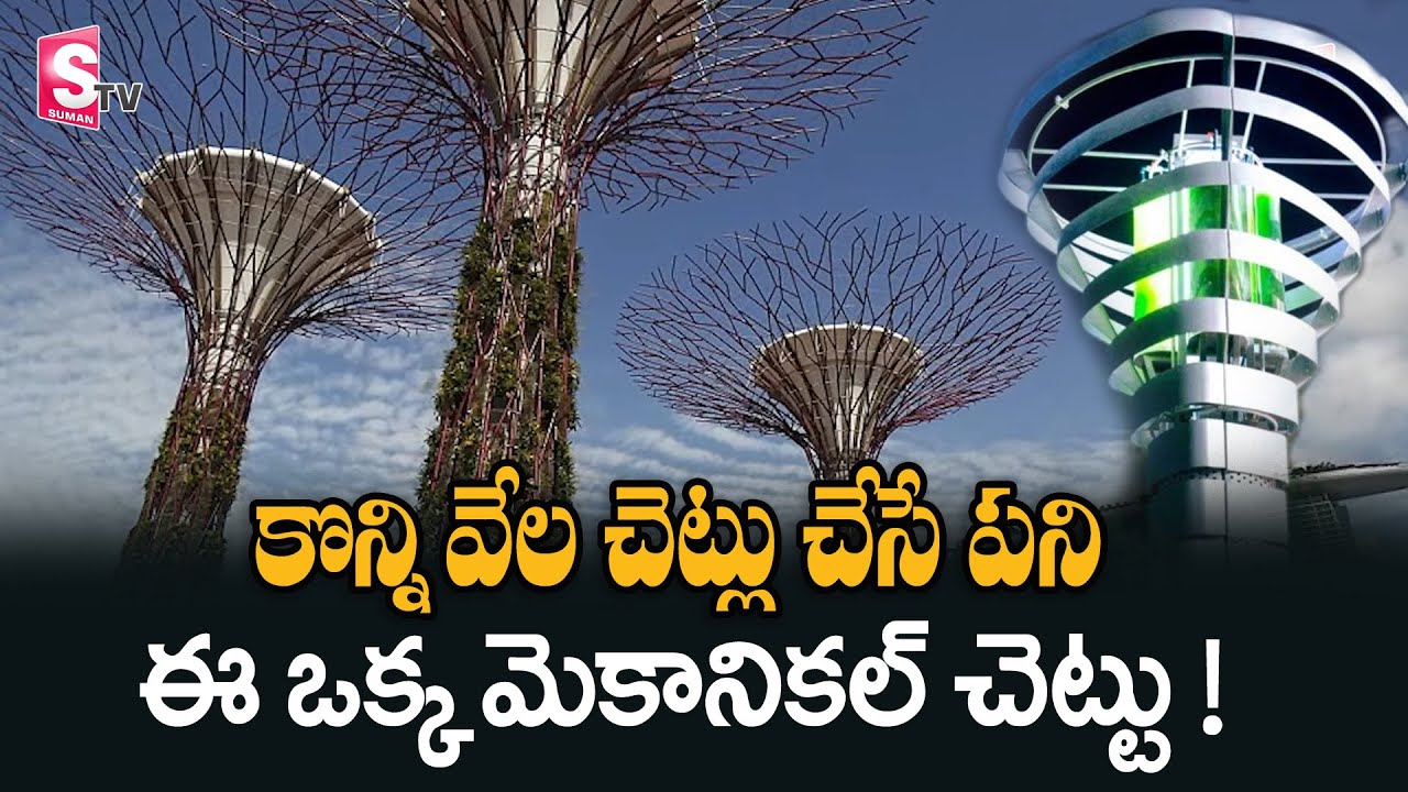 Mechanical Trees To Help Capture CO2 | Artificial Trees Fights Air ...