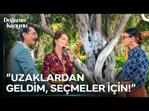 Yamaniko Han'ın Melek Seçmeleri - Doğanın Kanunu 10.Bölüm