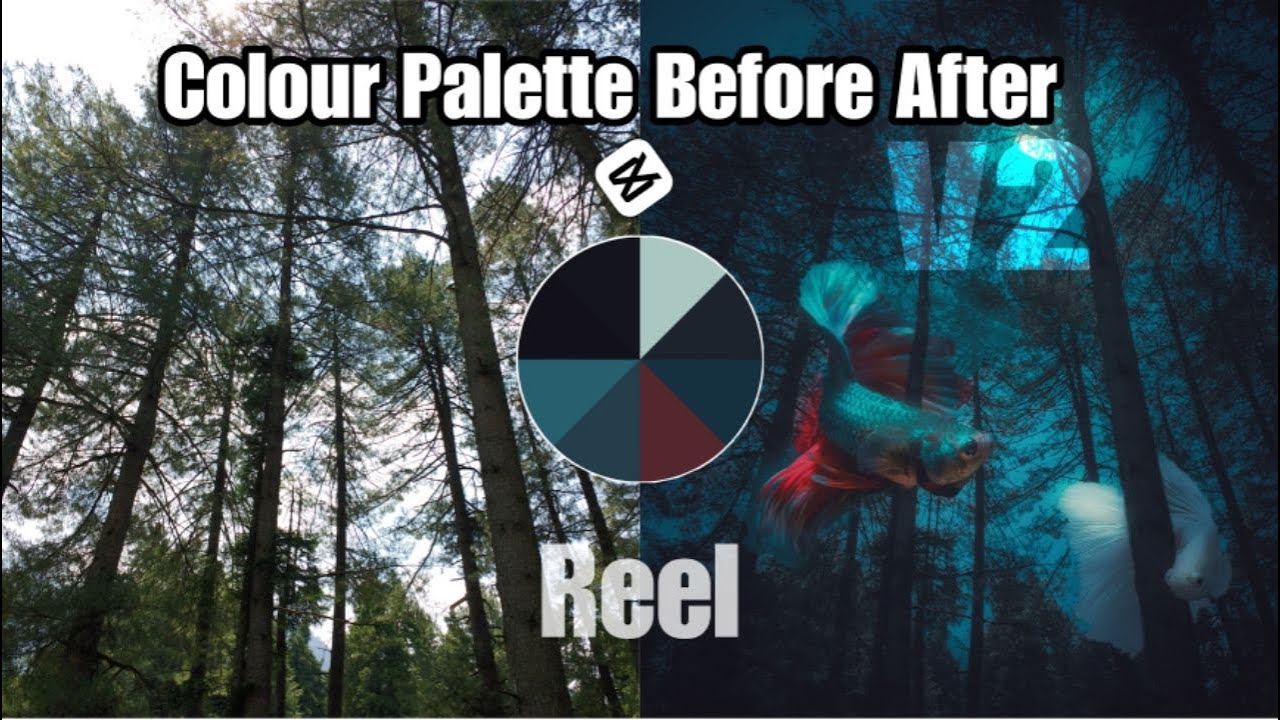 Circle Colour Palette Before and After Color Grade Video Transition Tutorial In Mobile using ...