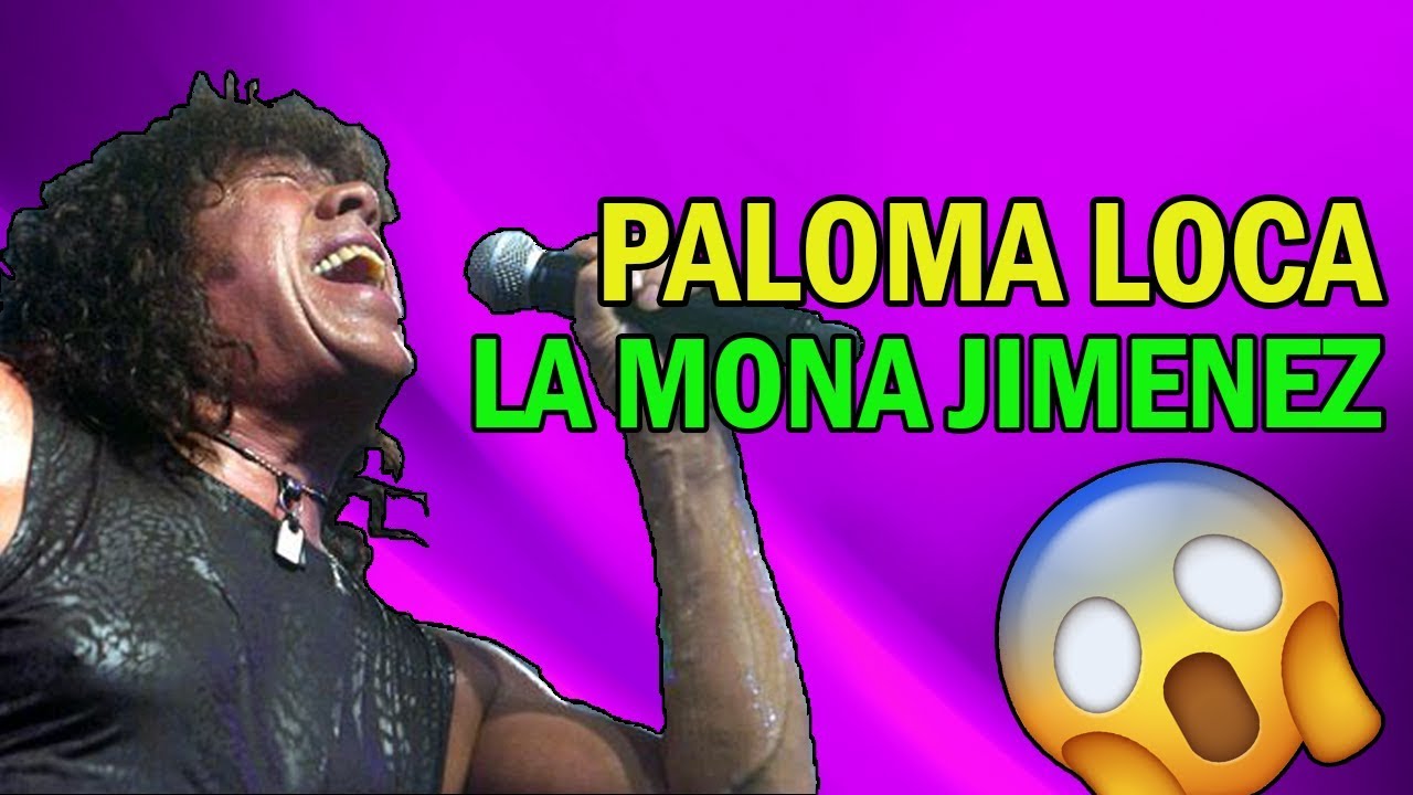 🔥 LA MONA 👉 PALOMA LOCA (LETRA) - YouTube