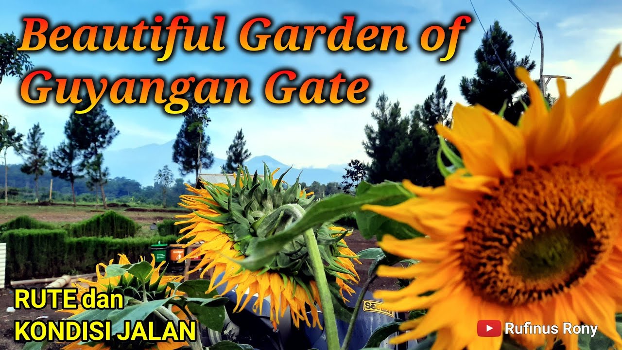 Rest Area Guyangan | wisata Probolinggo Jawa Timur | Krucil Probolinggo ...