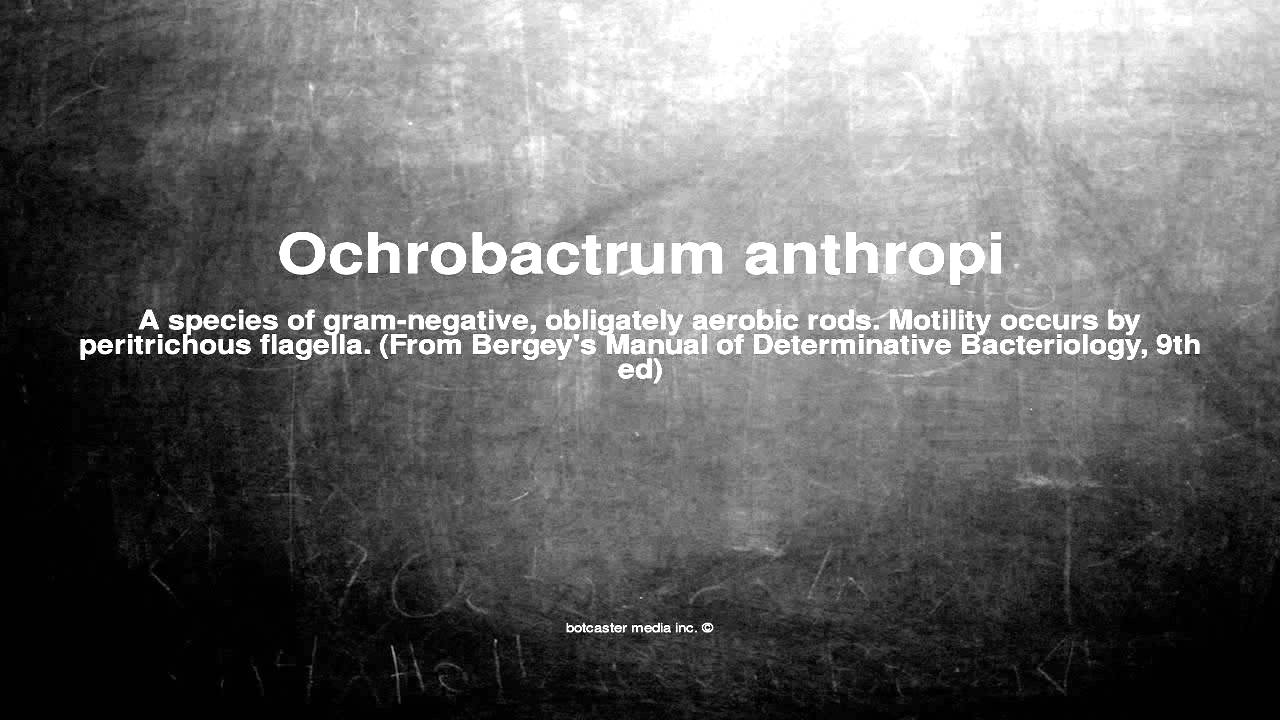 Medical vocabulary: What does Ochrobactrum anthropi mean - YouTube
