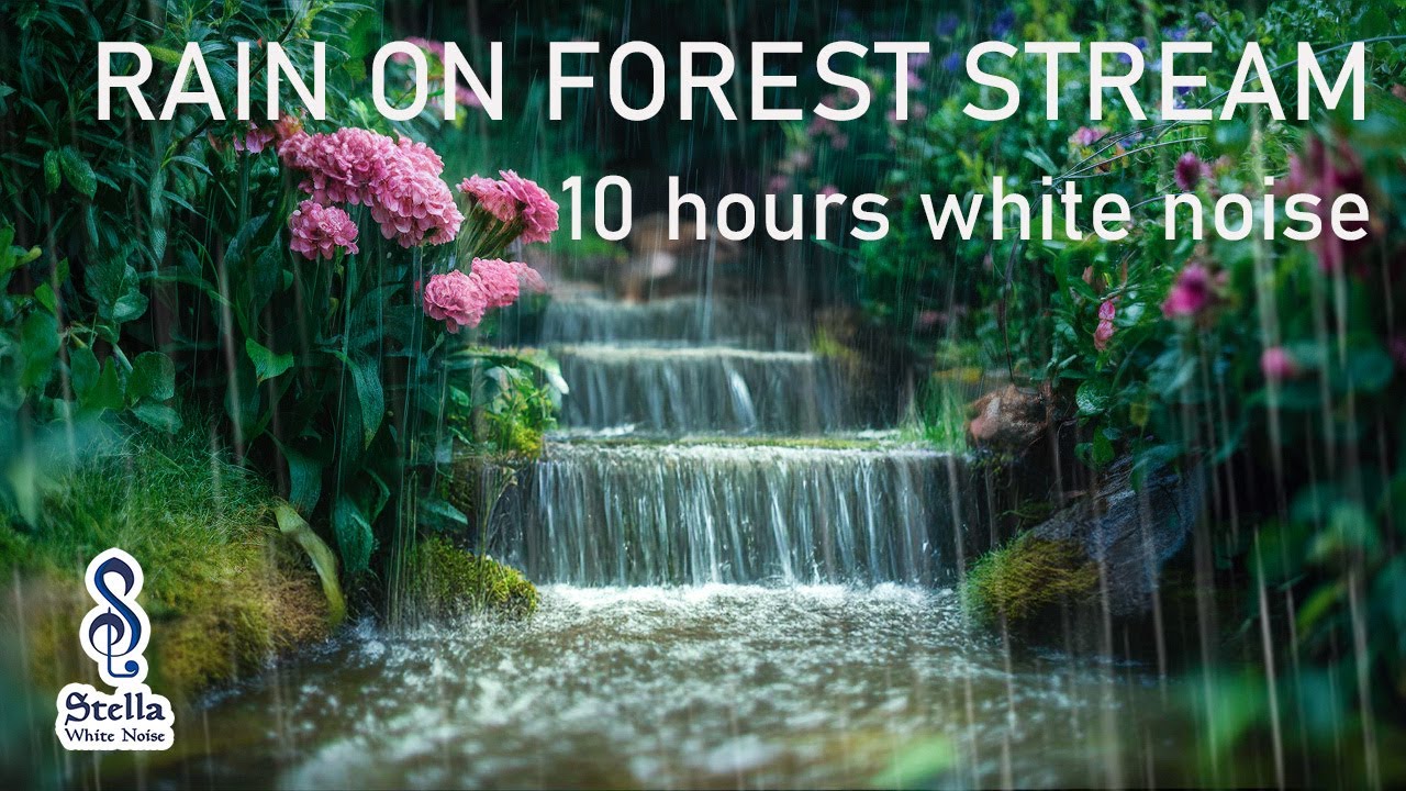 Rain on Forest Stream | Heavy Rain and Water White Noise | Deep Sleep ...