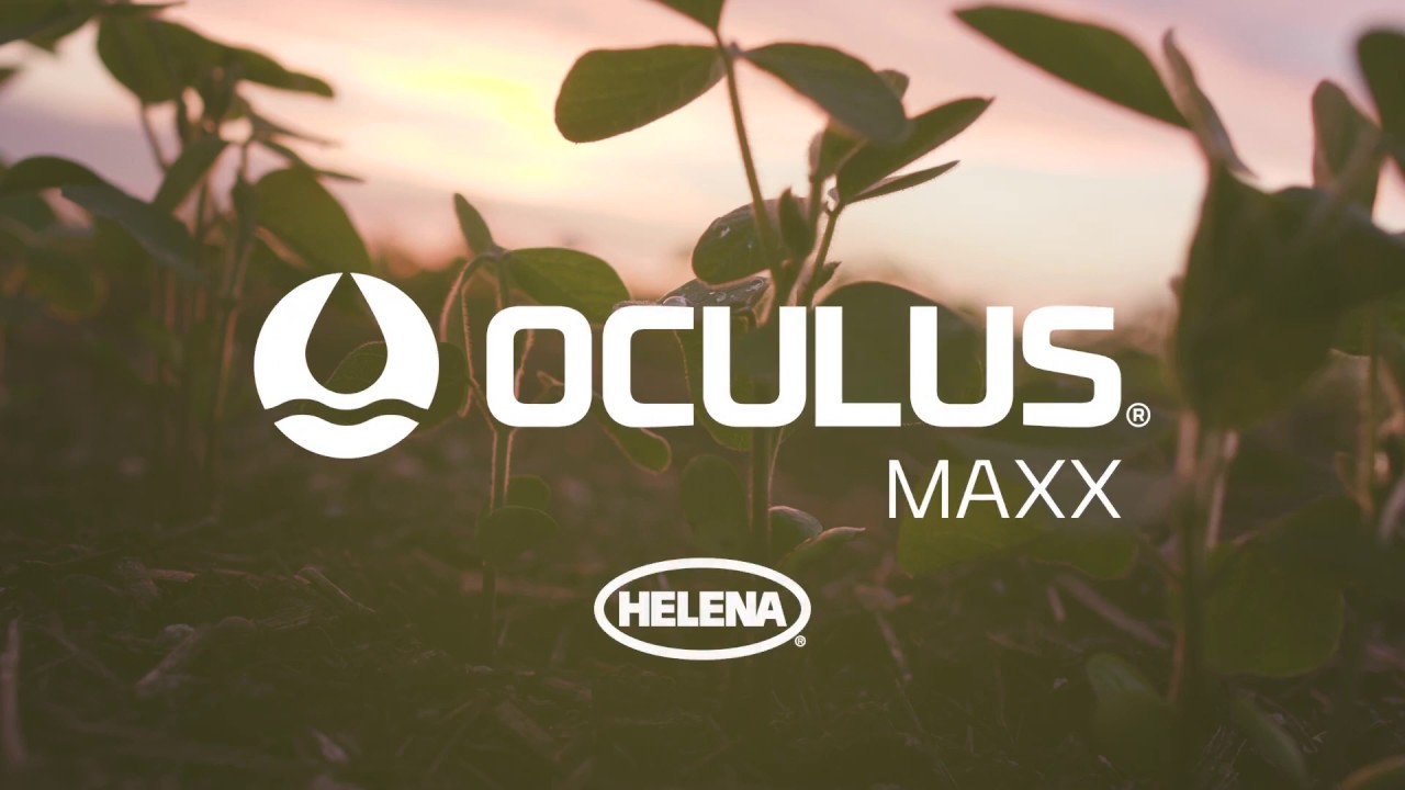 What are the benefits of Oculus Maxx? - YouTube