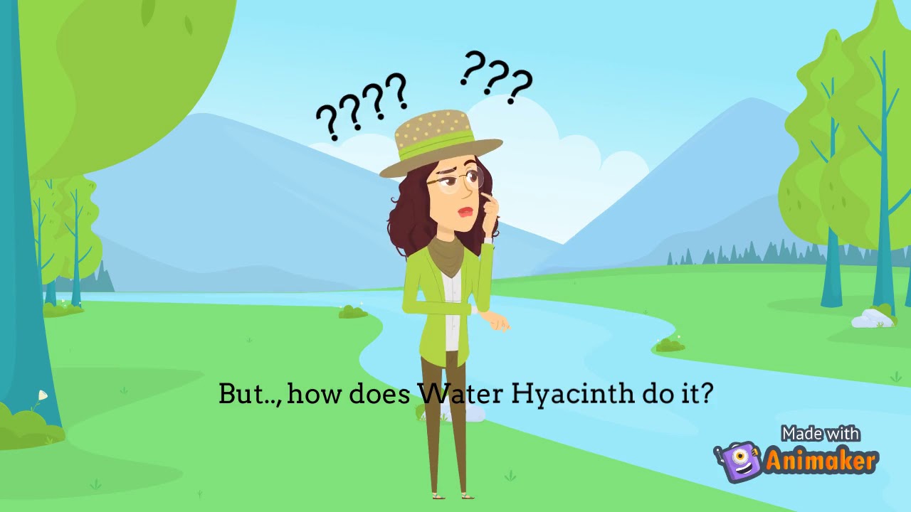 Interprative Animated Video : Water Hyacinth - YouTube