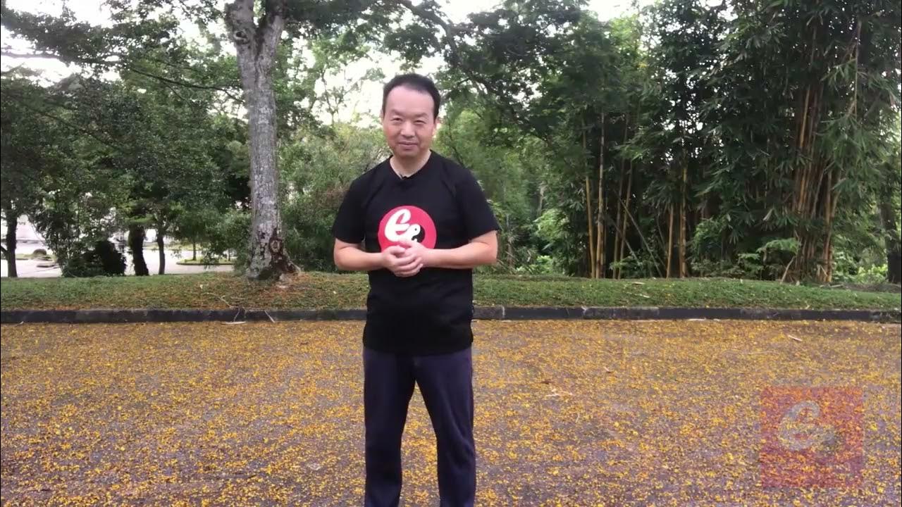 Chen Style Tai Chi New Frame Routine 1陈氏太极拳新架一路-73十字单摆莲Reverse High roundhouse kick & cross hand ...