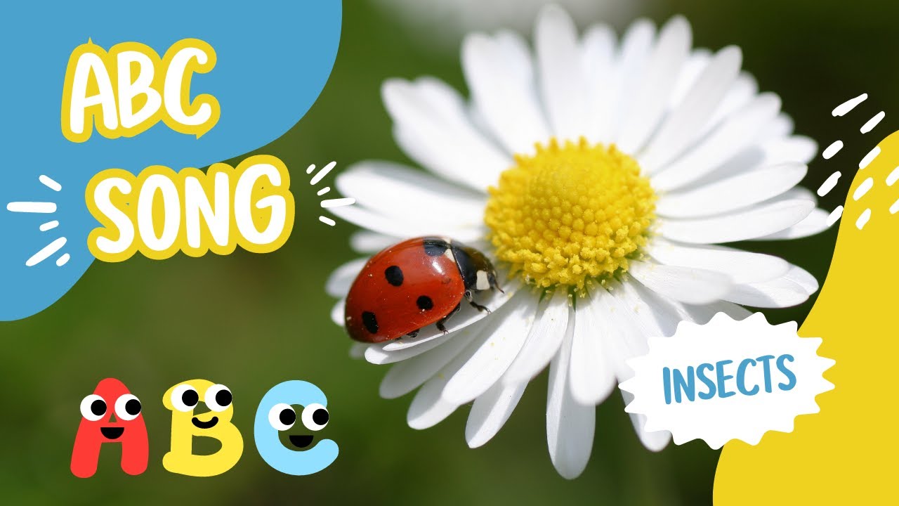 Teaching Toddlers ABCs with BUGS! - YouTube