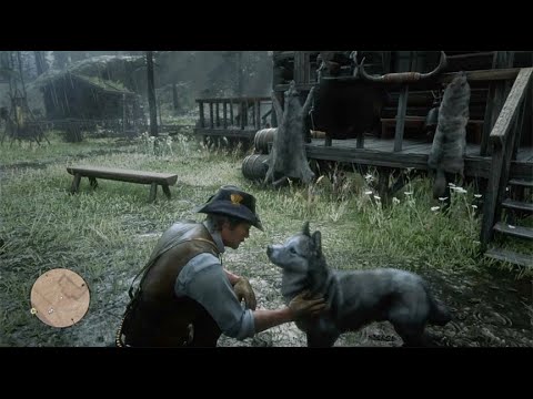 Arthur Pets The Husky at Manzanita Post in The Rain, in Red Dead ...