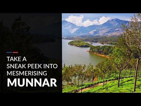 Take A Sneak Peek into Mesmerising Munnar