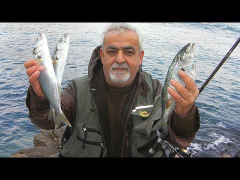 Lüfer ( Blue fish ) avı..Necmi Fidan .Kıyı balıkçısı.. - YouTube