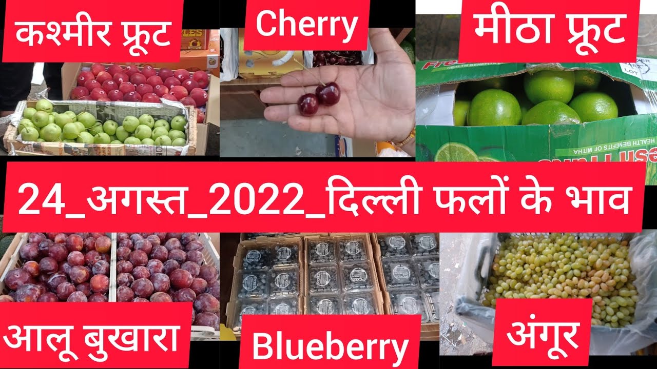 24 August 2022 दिल्ली सभी फलों के होलसेल भाव today fruits market price ...