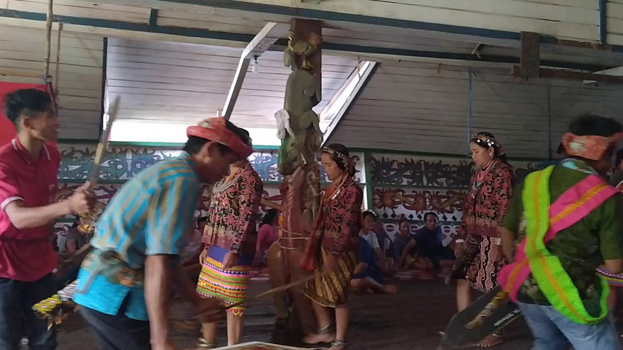 Dayak bulusu #Terindak #masakngarang #Bekiliu - YouTube