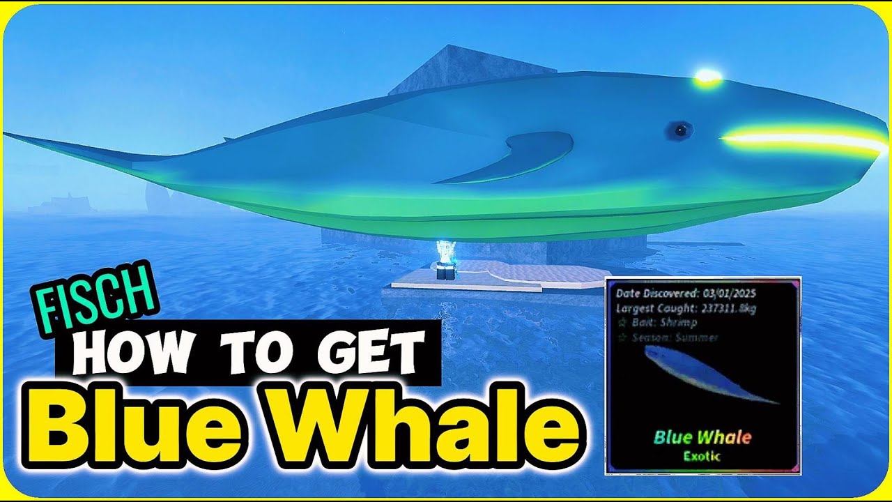 How to Catch the BLUE WHALE in Fisch (FULL GUIDE) - YouTube