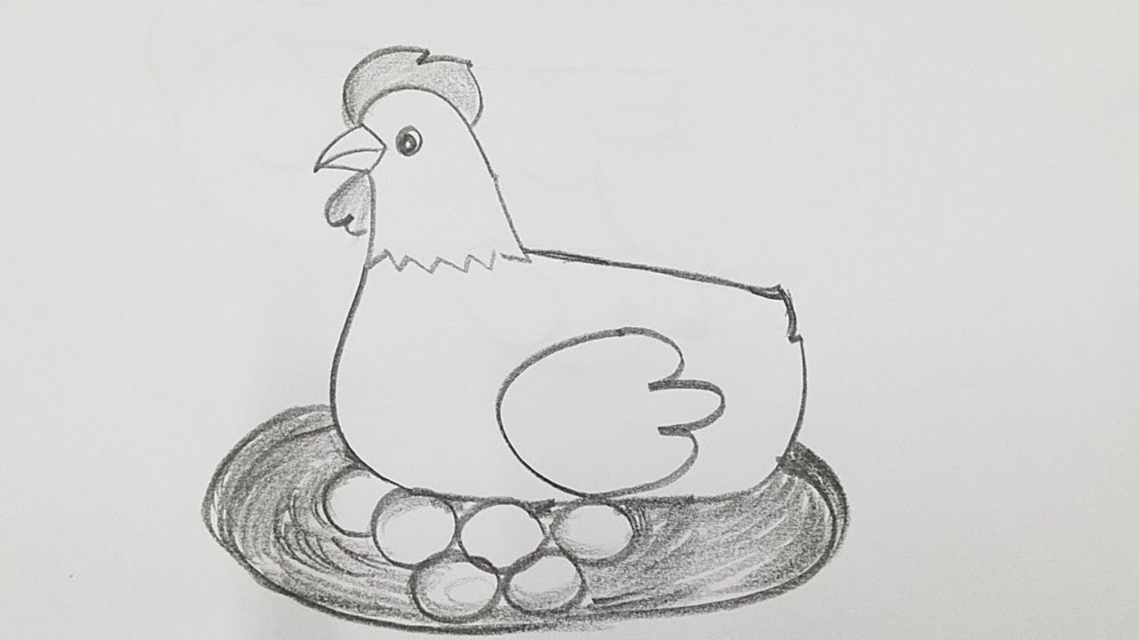 how to draw hen drawing easy step by step@DrawingTalent - YouTube