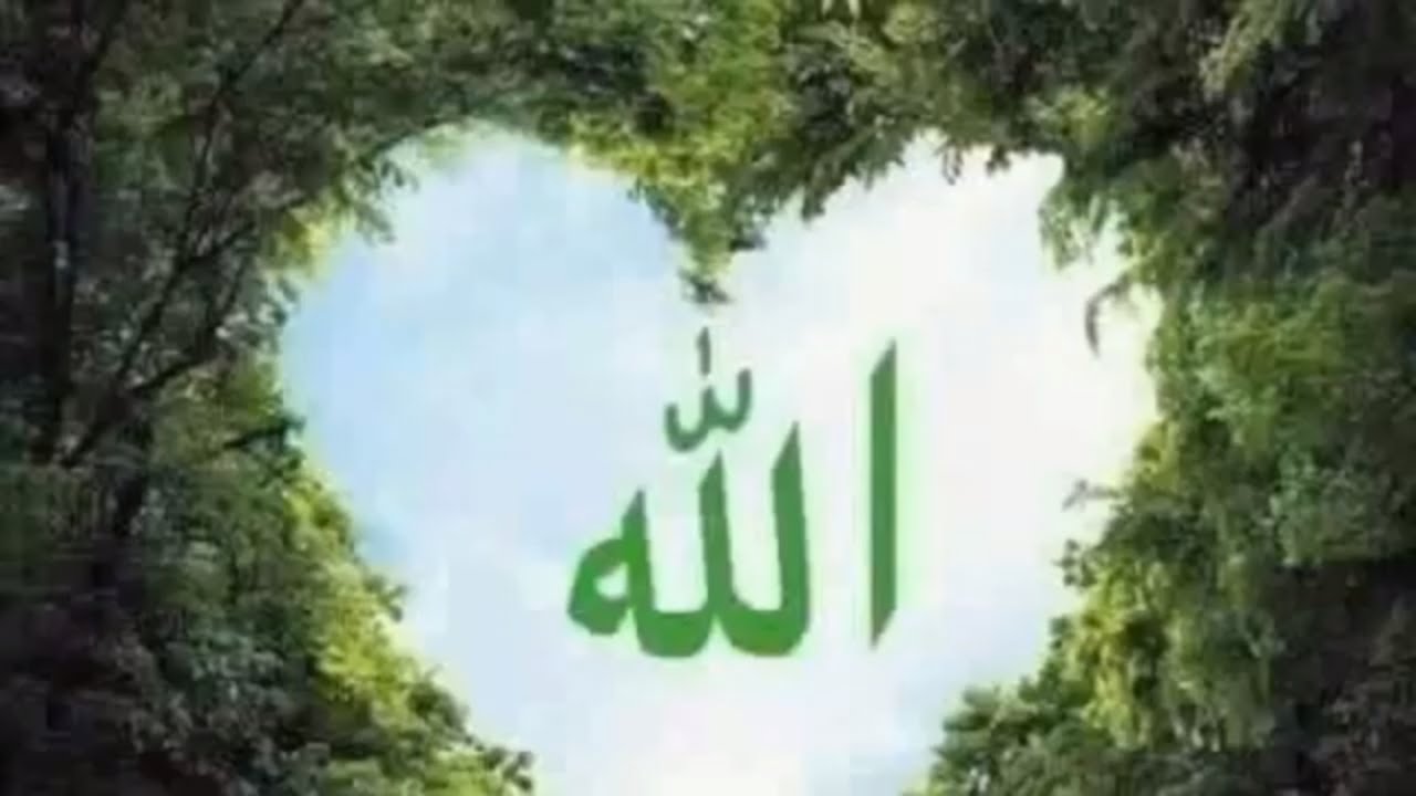 Quran Tilawat Calm Voice - Abdullah Humaid - YouTube
