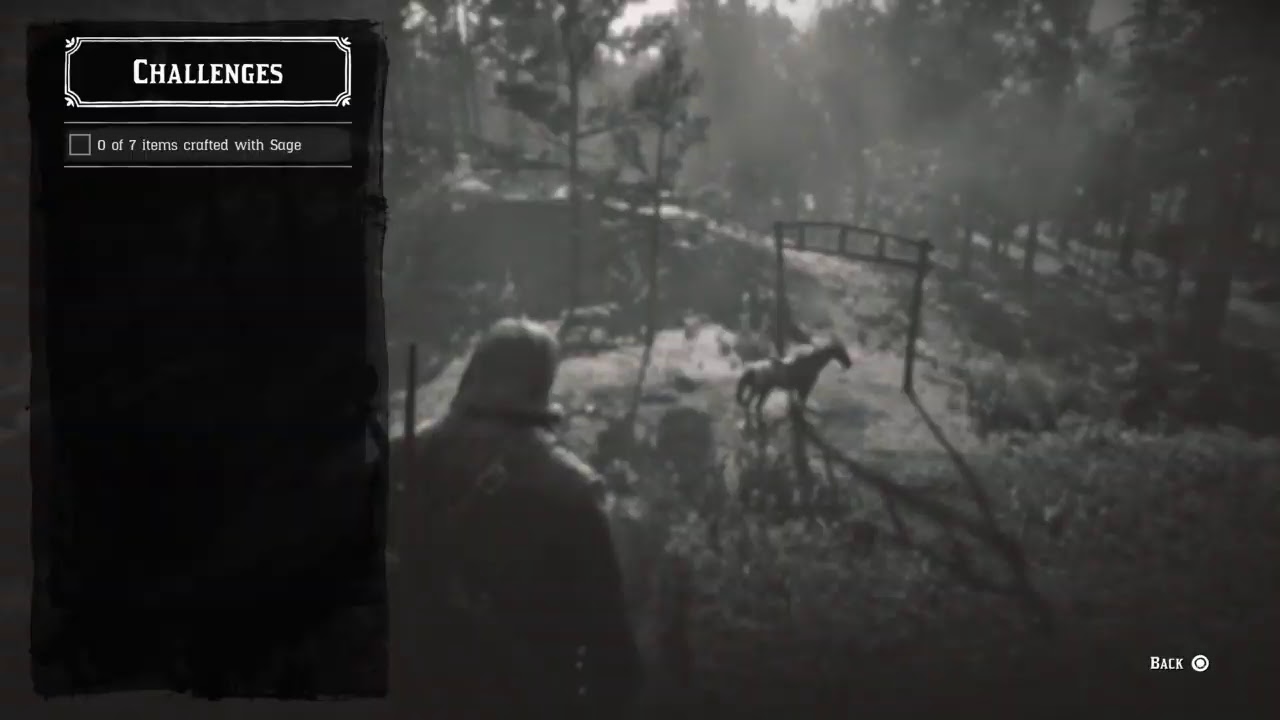 Red Dead Redemption 2 -How to find all Berries - YouTube