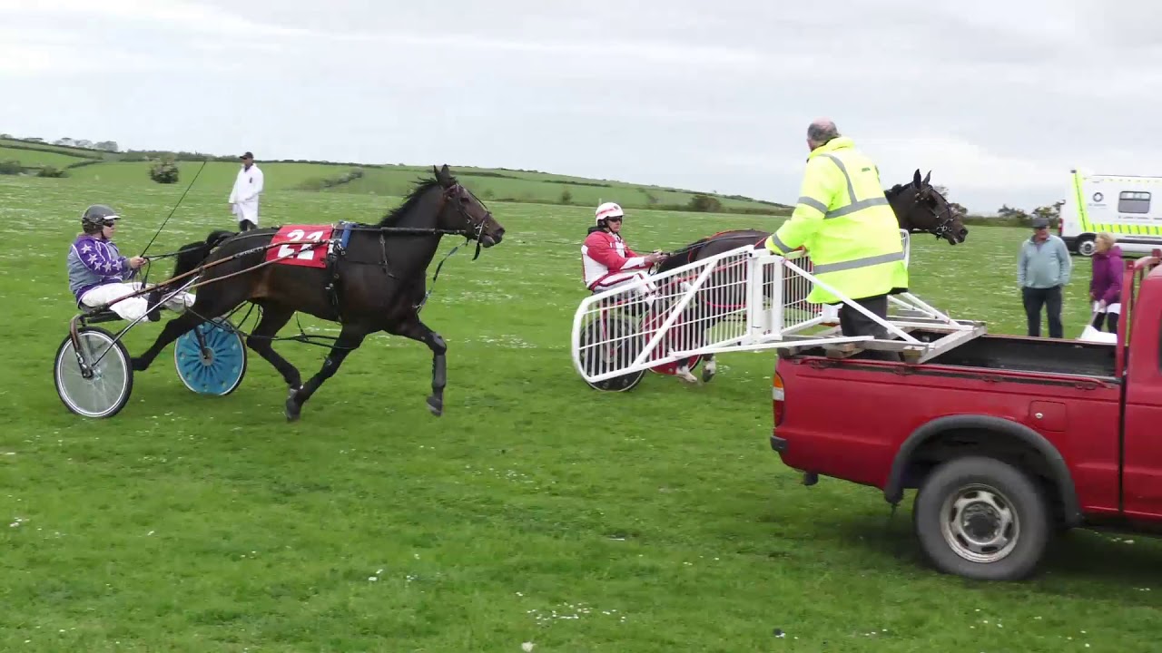 SYNOD INN HARNESS RACES 2019 CONSOLATION RACE - YouTube