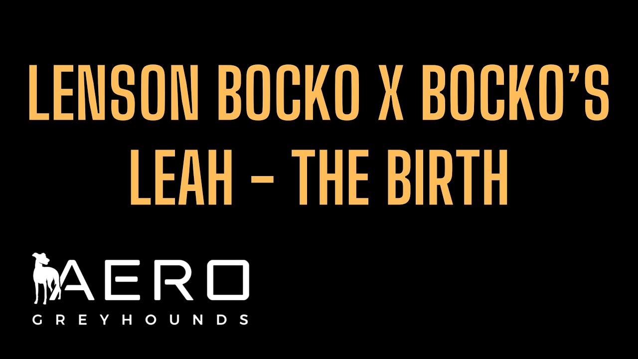 Lenson Bocko x Bocko's Leah - The Birth - YouTube