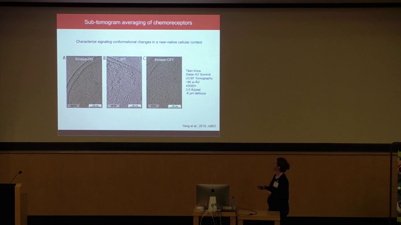 Cryo electron tomography workflows at NeCEN - YouTube