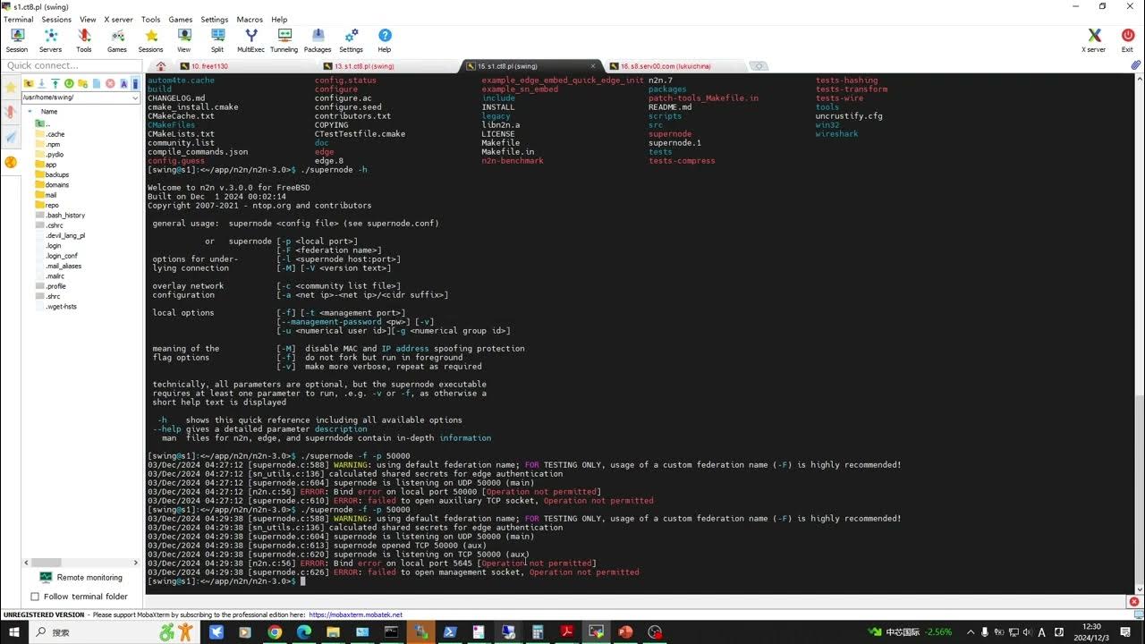 【第445期】【serv00系列】serv00搭建VPN！443期姊妹篇！利用serv00搭建P2P VPN：n2n的服务端实现异地组建局域网 ...