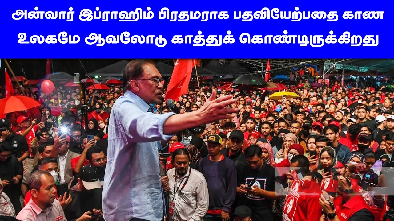 Thinathanthi Citizen News |அன்வார் இப்ராஹிம் பிரதமராக பதவியேற்பதை காண ...