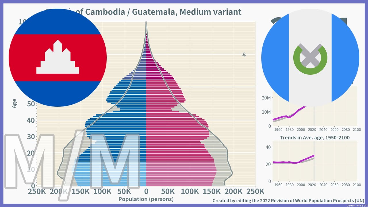 [🇰🇭Cambodia vs 🇬🇹Guatemala] Comparison of Population Pyramids (1950 ...