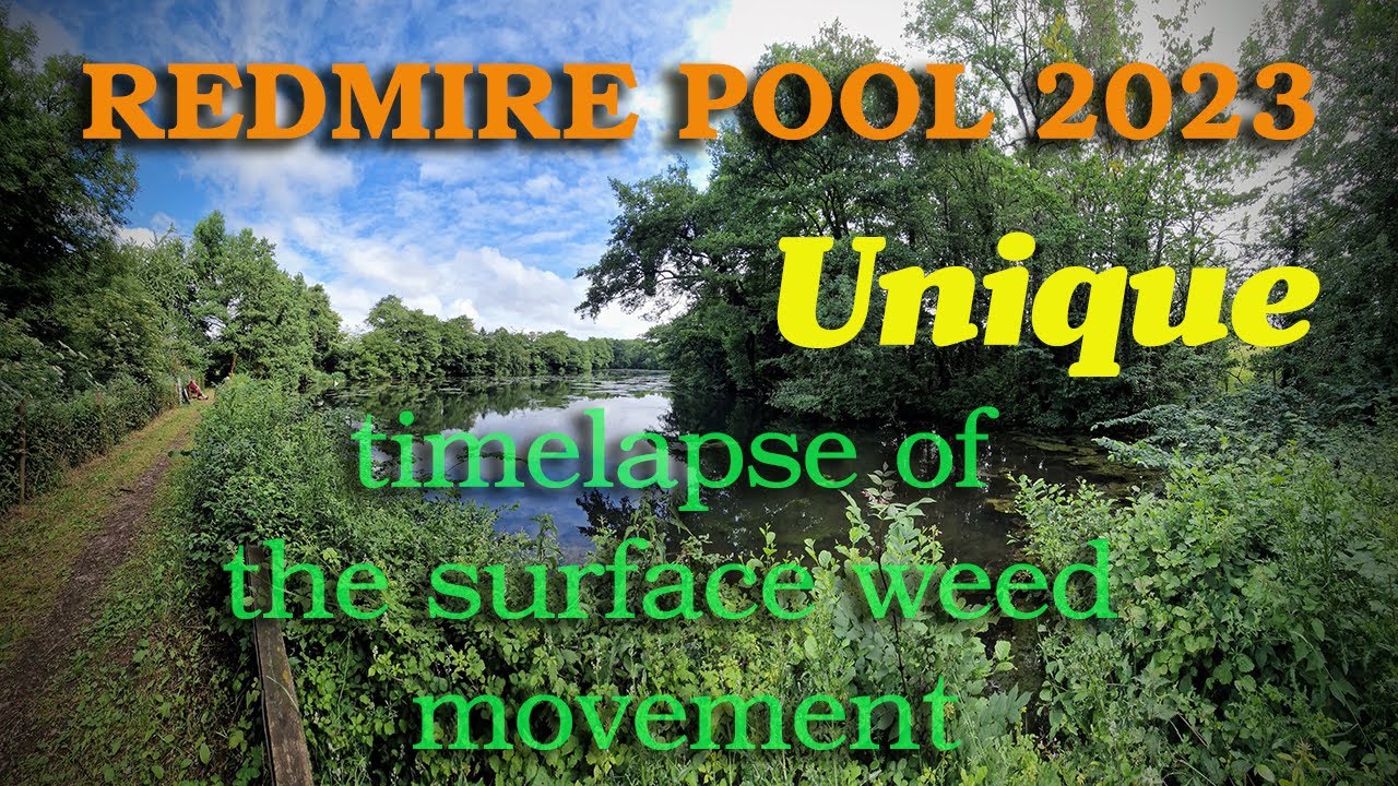 Redmire Pool - UNIQUE surface weed time-lapse. - YouTube