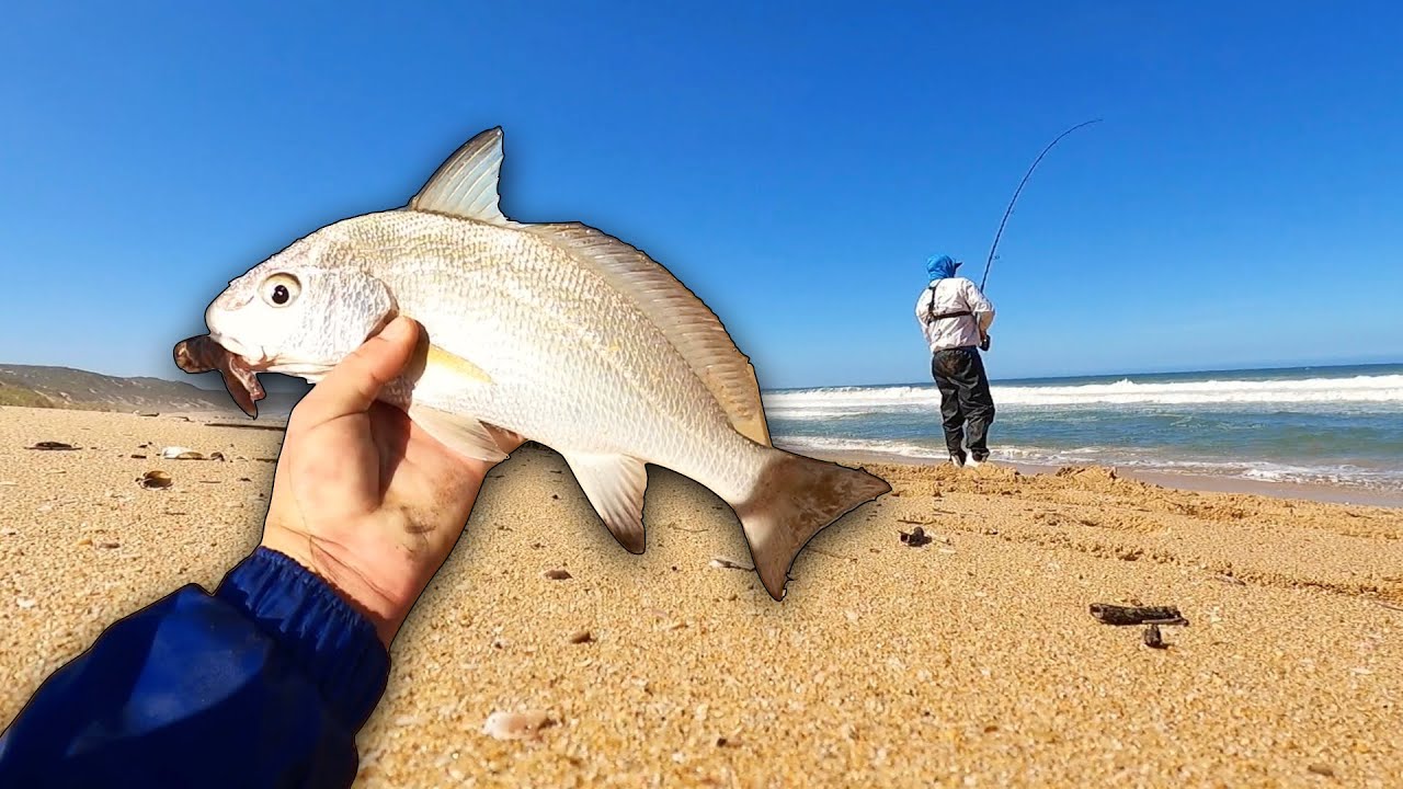 Fishing for Baardman and Galjoen in Witsand! Some fishing days are just ...