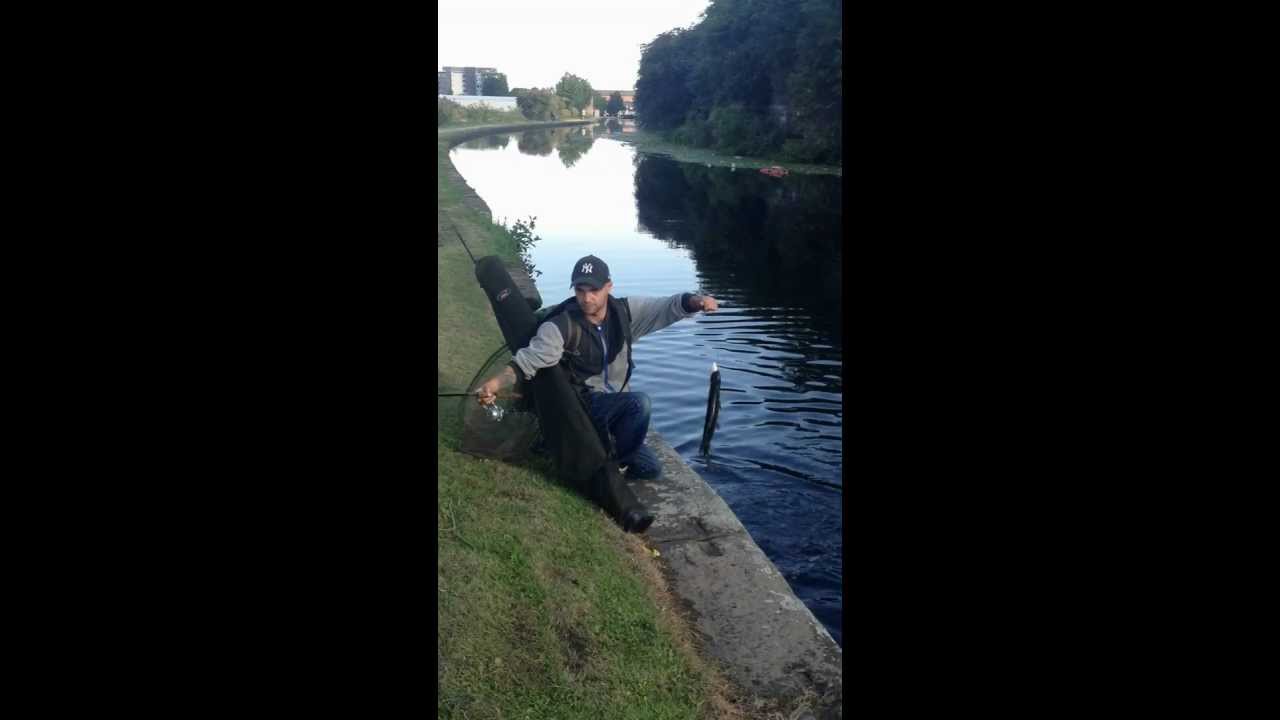 Lure Pike Fishing in Leeds & Liverpool Canal 2. - YouTube