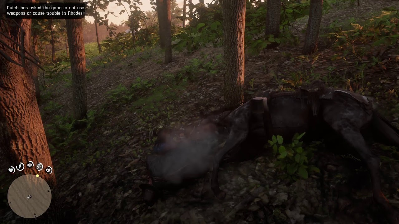 Watch out for that... tree. - YouTube