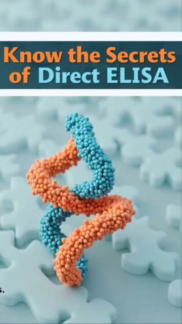 ELISA Test Direct ELISA explained - YouTube