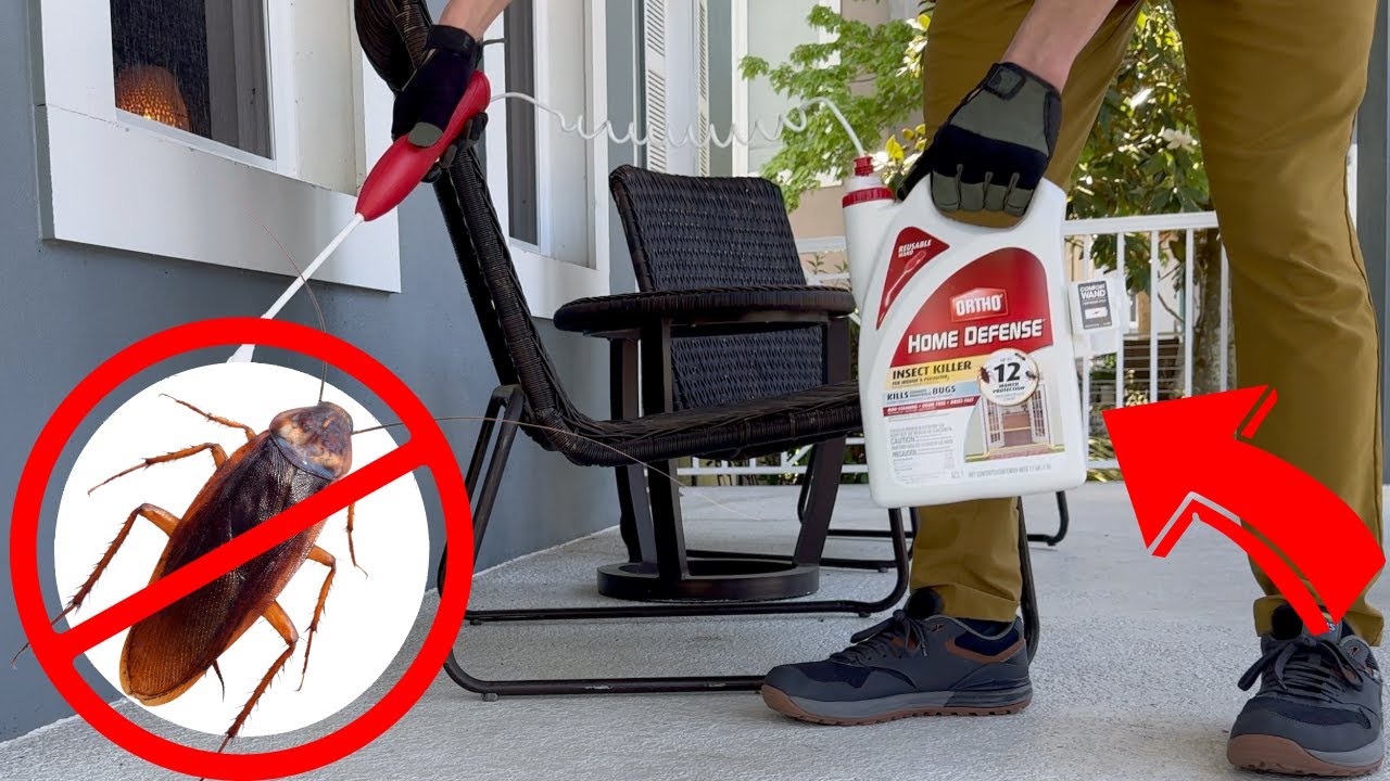Easy DIY Pest Control: bugs, ants, spiders, roaches, etc. - YouTube