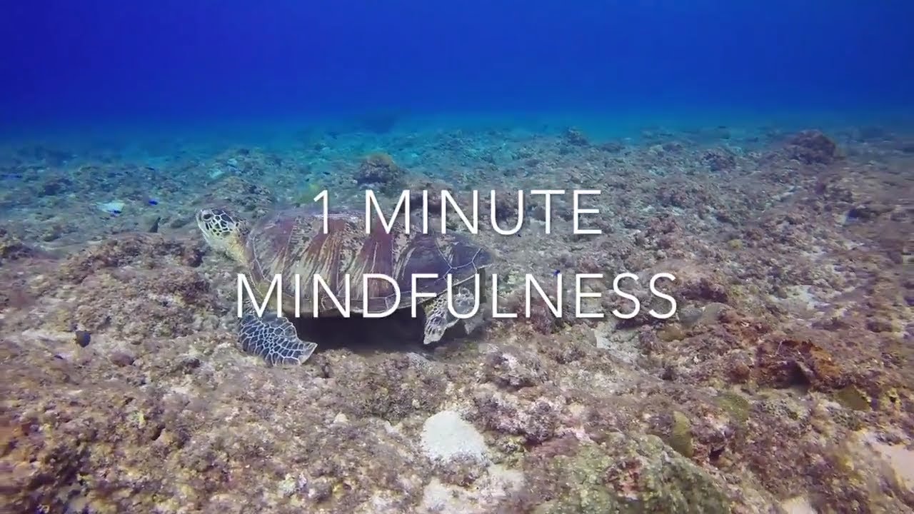 Easy Mindfulness Meditation Practice - 1 Minute Mindfulness for ...