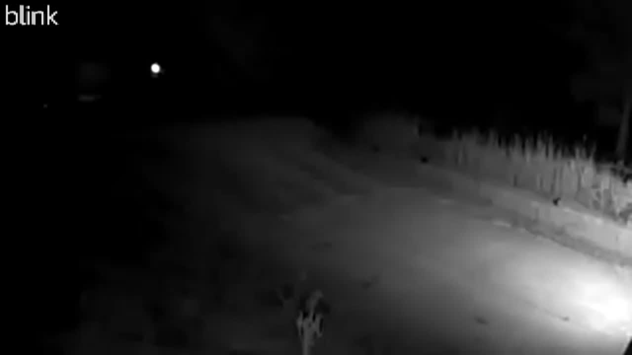 WATCH: Man thought to be Tyler Goodrich runs from home on night of ...