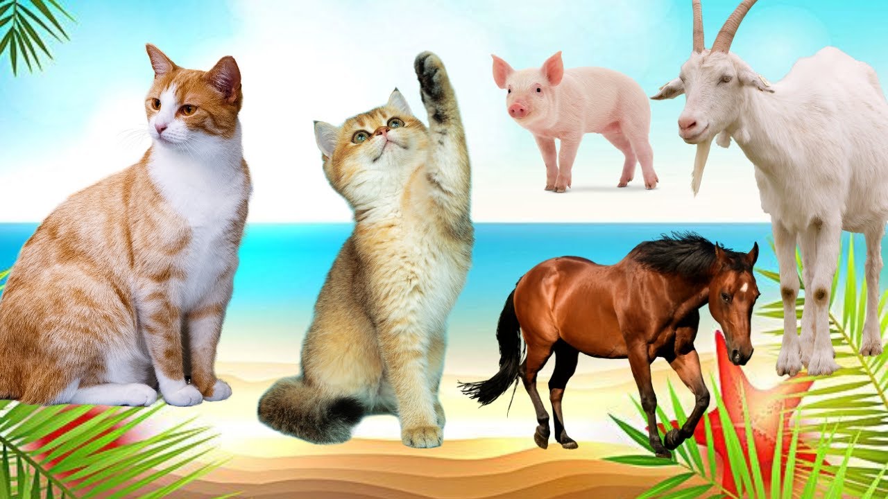 ANIMAL SOUNDS I Cute Animal Sounds Video Compilation 2023 - YouTube
