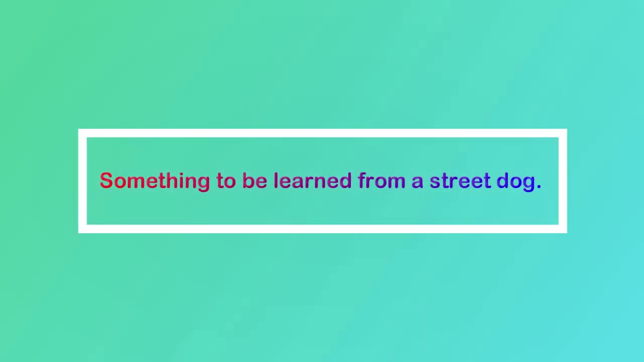 Never Give Up | Dog Motivational Video | Inspirational Animal| - YouTube