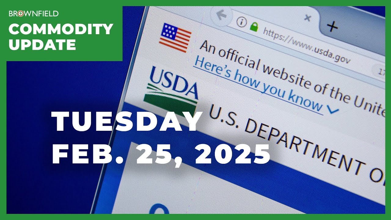 Friday USDA report to set tone for 2025 crop year | Weekly Commodity ...