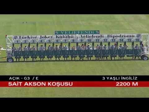 2013 SAİT AKSON KOŞUSU (G3)