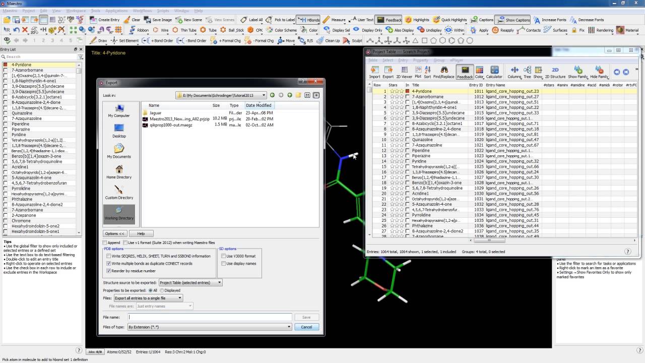 Maestro (Quick Start Guide) - Exporting a Structure File - YouTube