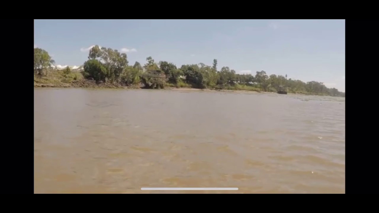 Fishing the Fitzroy River - YouTube