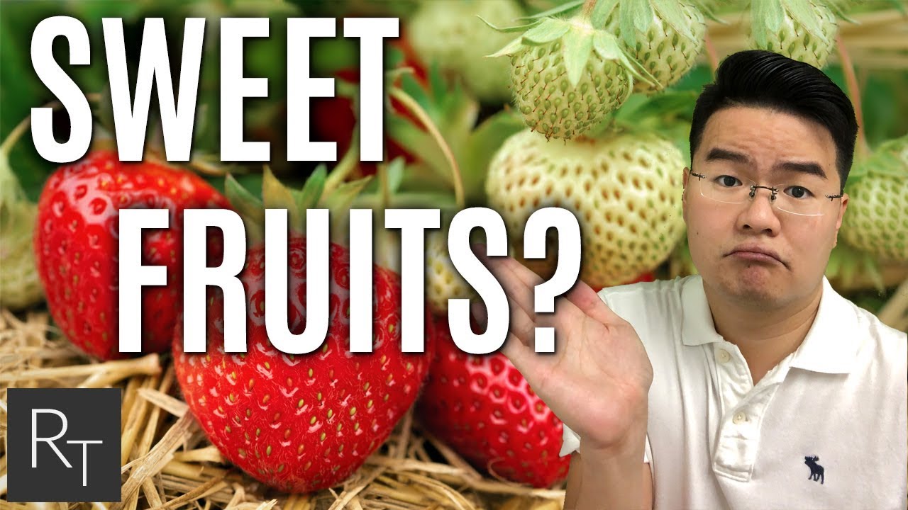 Why Ripe Fruits Are Sweet - The Secret Language of Plants - YouTube