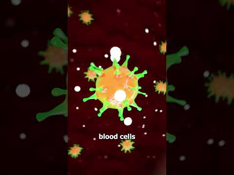 Should You Pop Your Pimples? 🚫💦