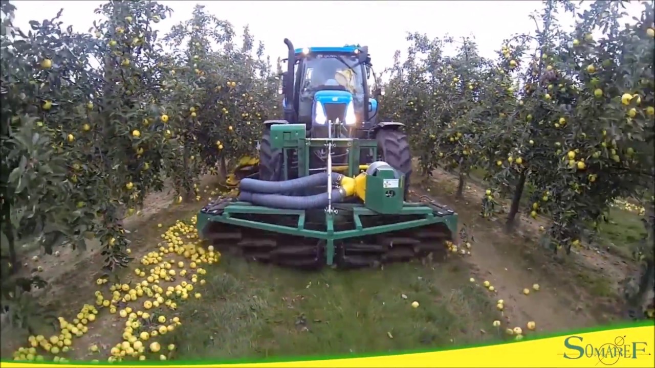 Machine de recolte Pommes a cidre au sol MVTEC installee sur tracteur ...