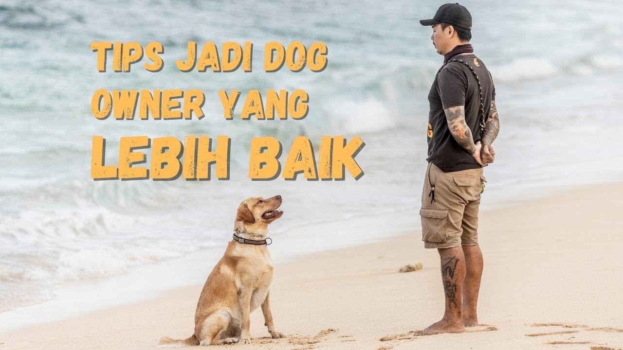 5 CARA JADI DOG OWNER LEBIH BAIK - (watch the blooper in beginning and ...