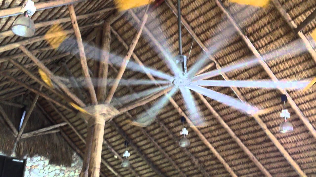 Biggest Fan Ever? Yup! - YouTube