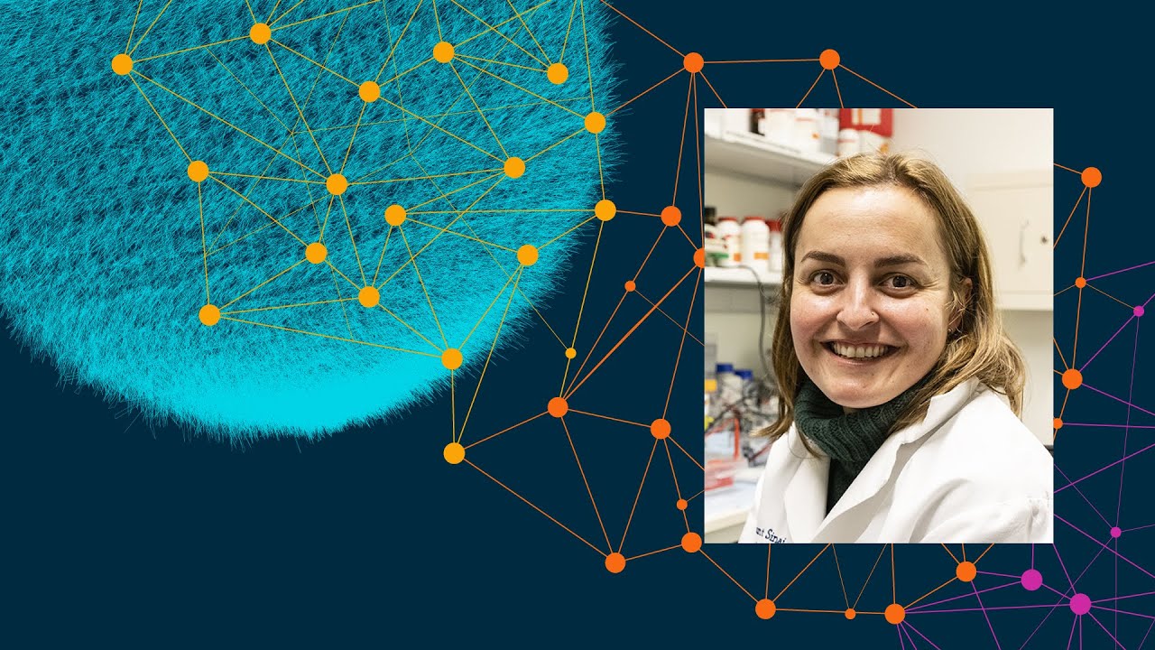 María Casanova-Acebes | Gladstone-UCSF Institute of Genomic Immunology ...