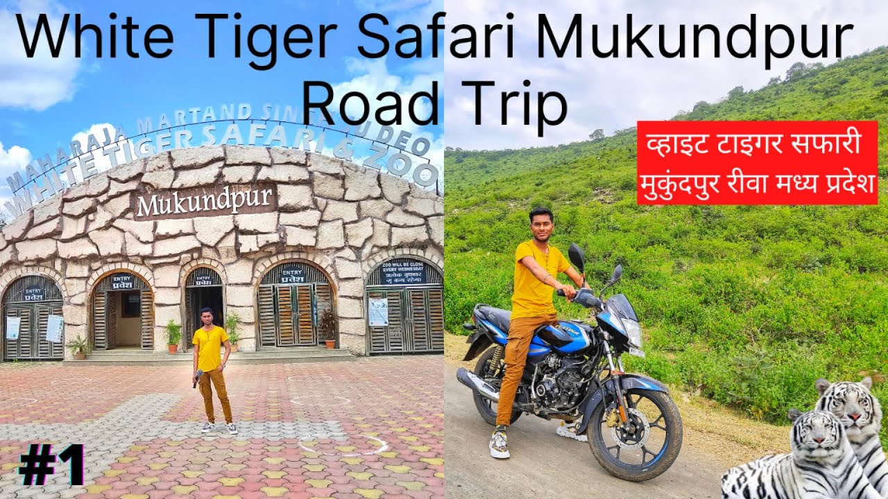 Mukundpur Road Trip | White Tiger Safari Rewa Madhya Pradesh ...