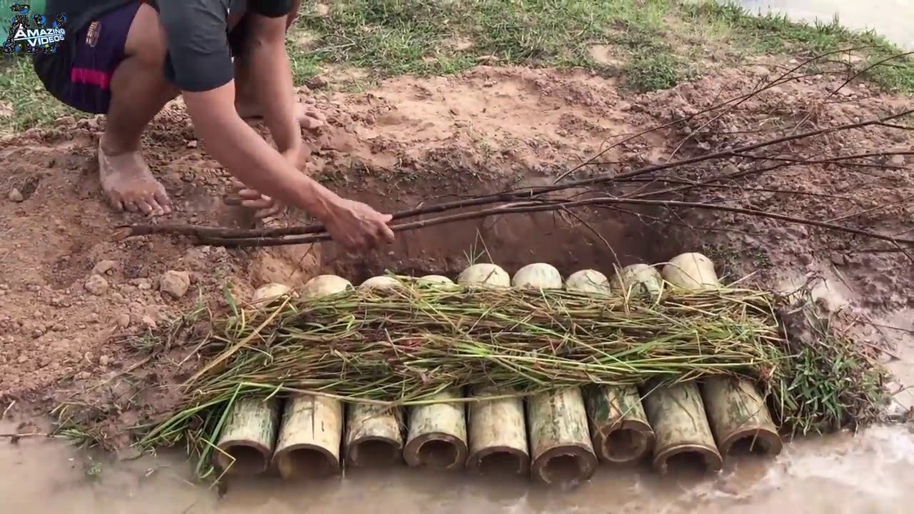 How To Make Simple Trap By Hand With Deep Hole And Bambo Catch Fish And ...