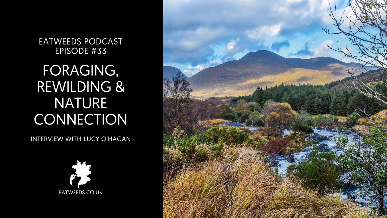 EP33: Foraging, Rewilding and Nature Connection // Lucy O’Hagan - YouTube